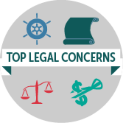 Top Legal Concerns (Infographic)